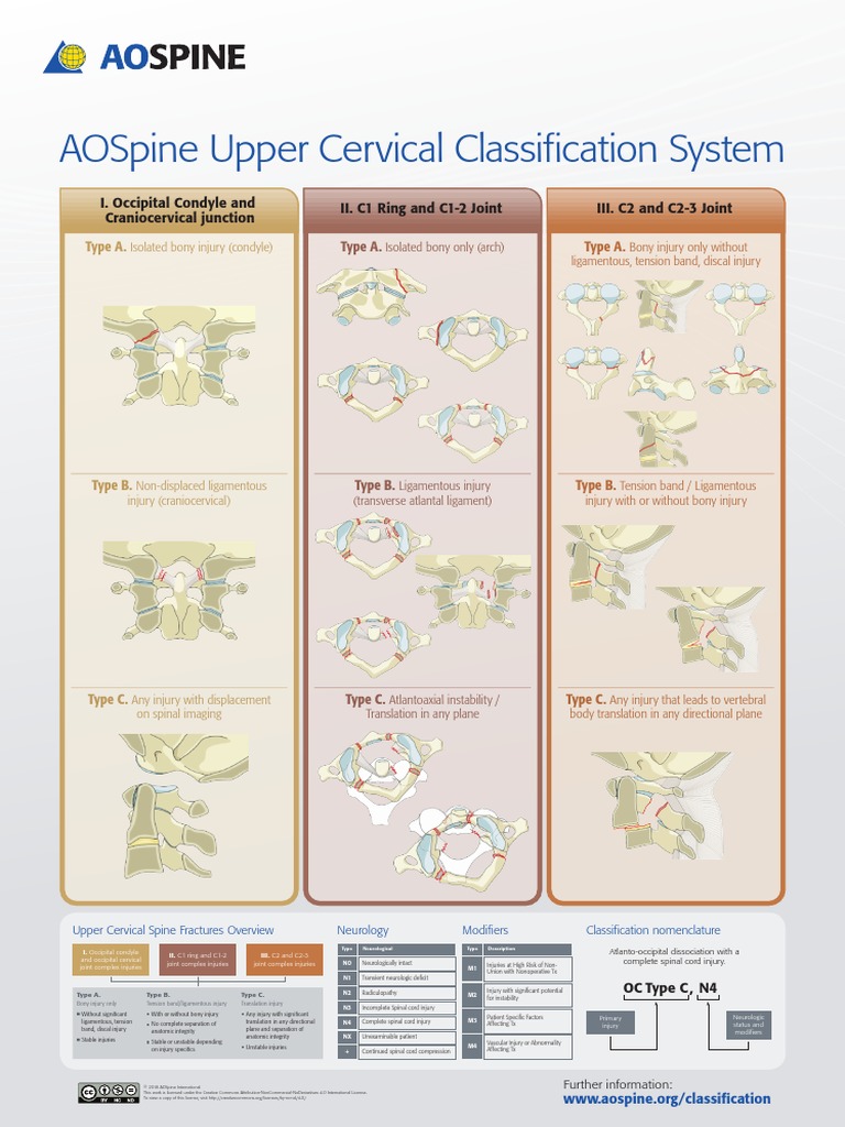 AO Spine Upper Cervical Classification System PDF | PDF | Vertebral ...