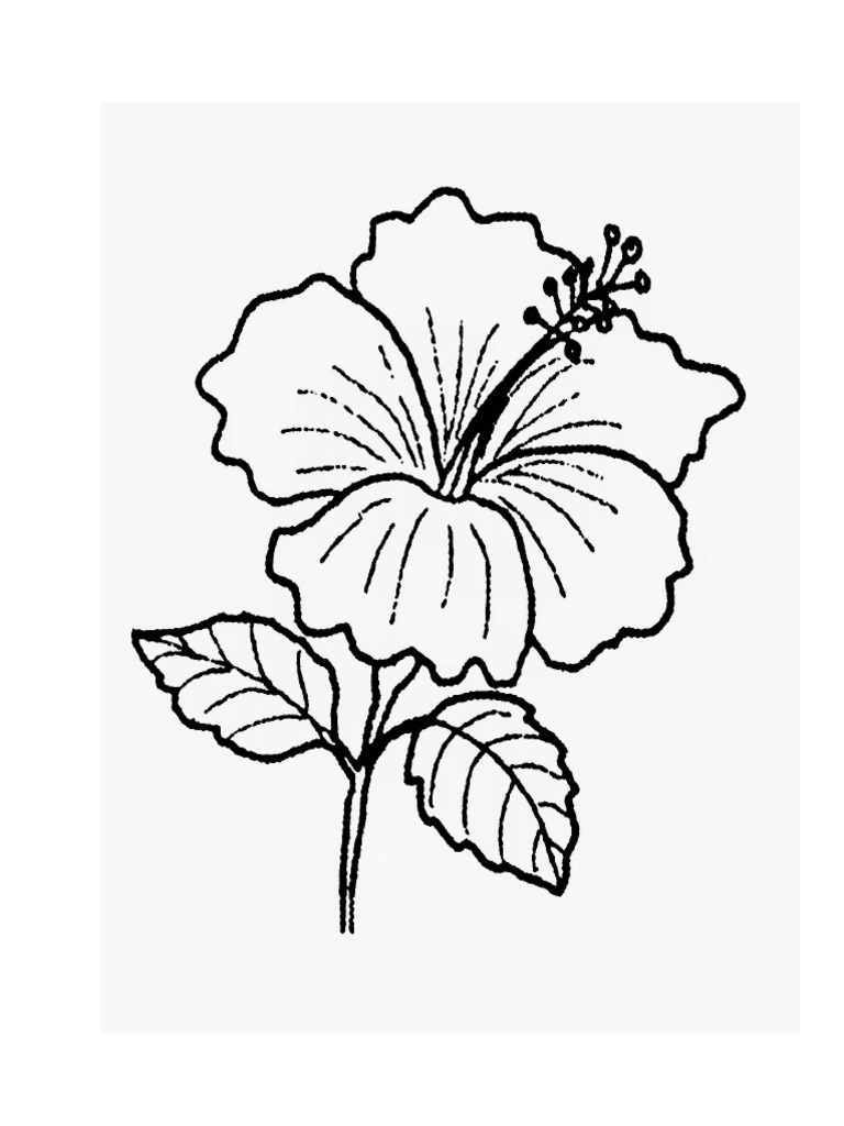 Bunga Raya PSV | PDF