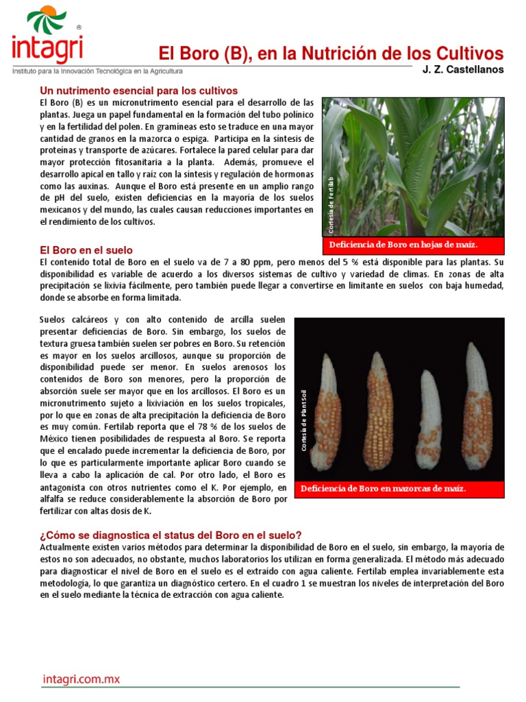 El Boro en La Nutrición de Los Cultivos | PDF | Boro | Suelo