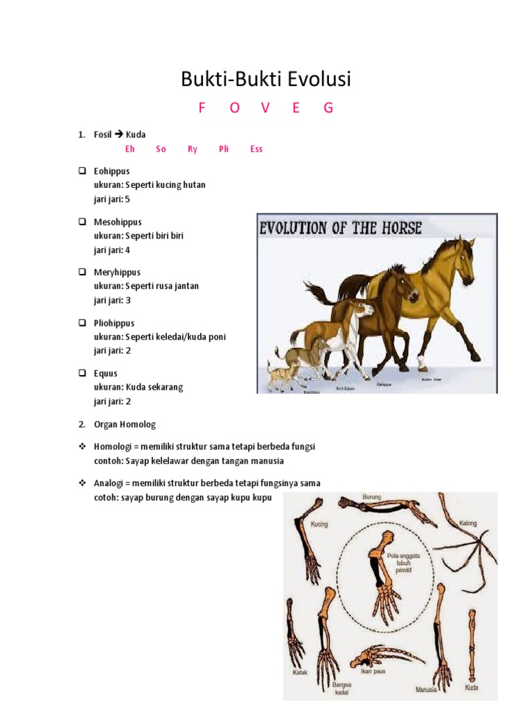 Bukti-Bukti Evolusi: F O V E G | PDF