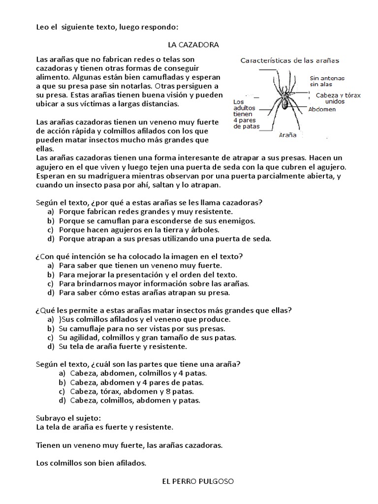 Lecturas | PDF | Araña | Naturaleza
