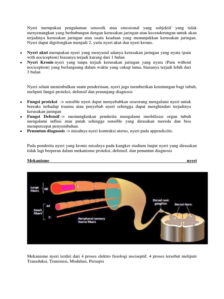 Nyeri Akut | PDF