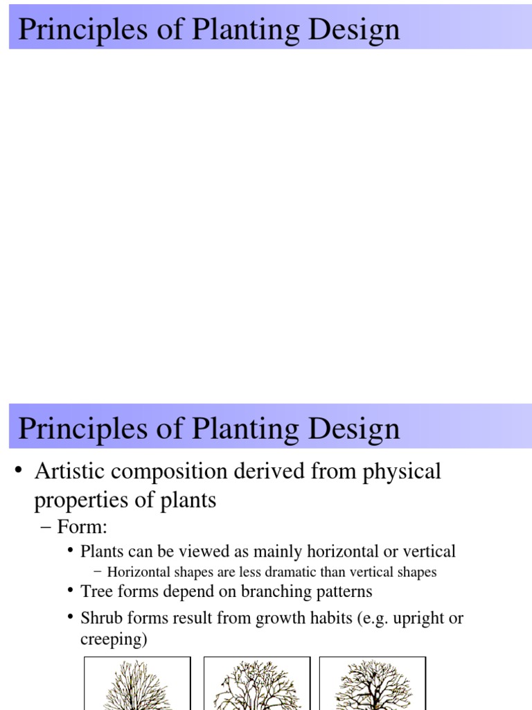Principles of Planting Design | PDF | Leaf | Trees