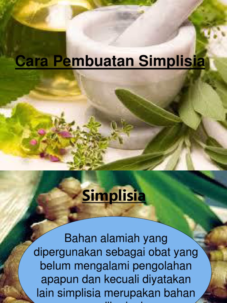 Cara Pembuatan Simplisia | PDF