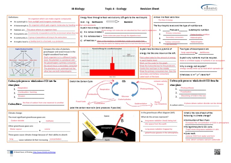 04 Ecology A3 Revision-Sheet A3formatms | PDF | Food Web | Carbon Cycle