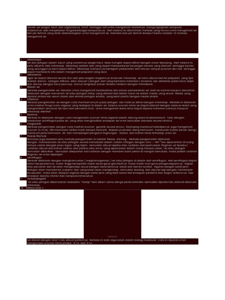 Ukuran Sel Sangat | PDF