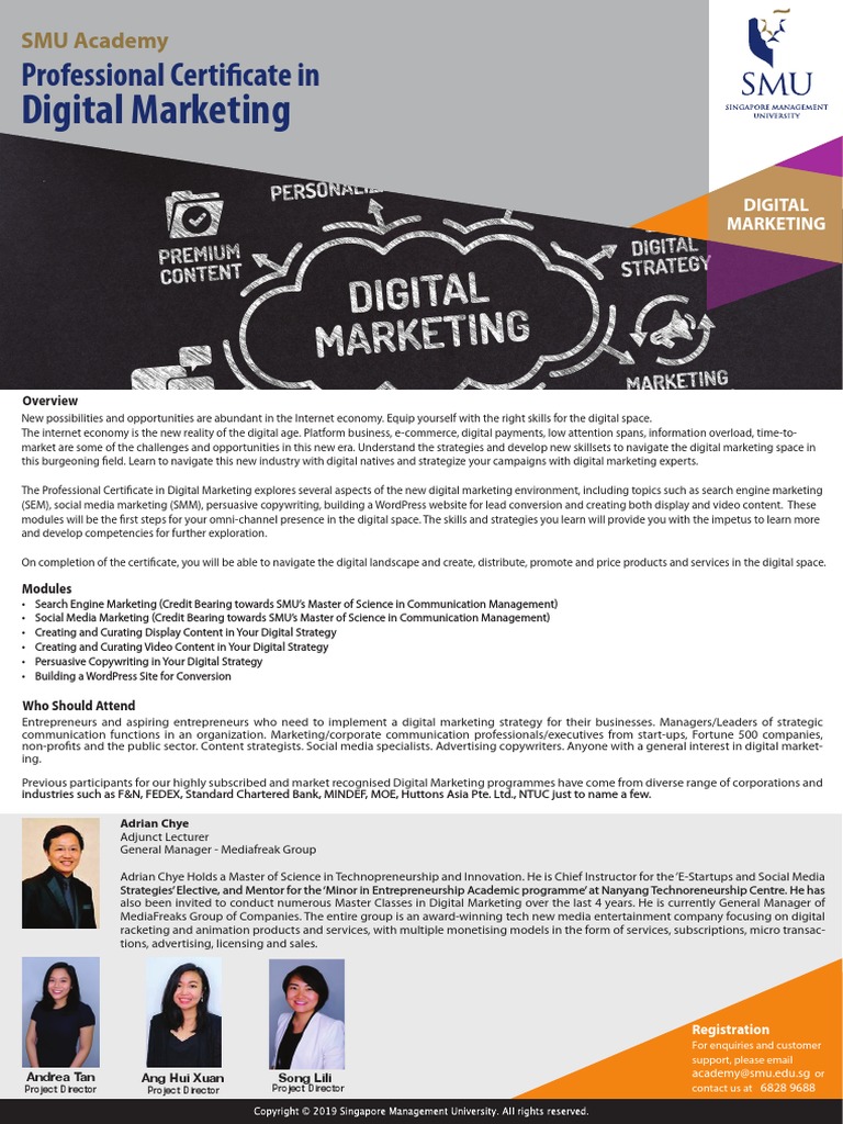 Digital Marketing: Professional Certificate in | PDF | Digital ...