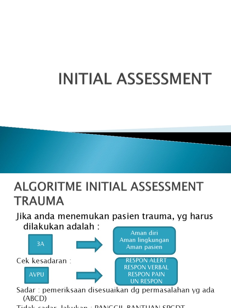 Initial Assessment | PDF