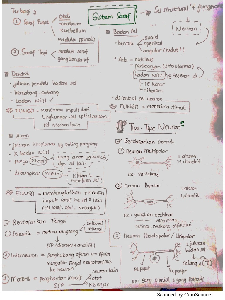 Scanned Document Overview | PDF