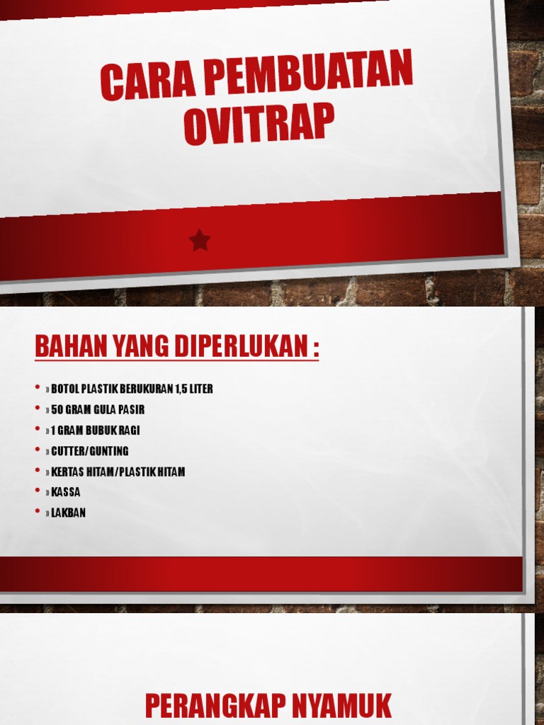 Cara Membuat Ovitrap Nyamuk DIY | PDF