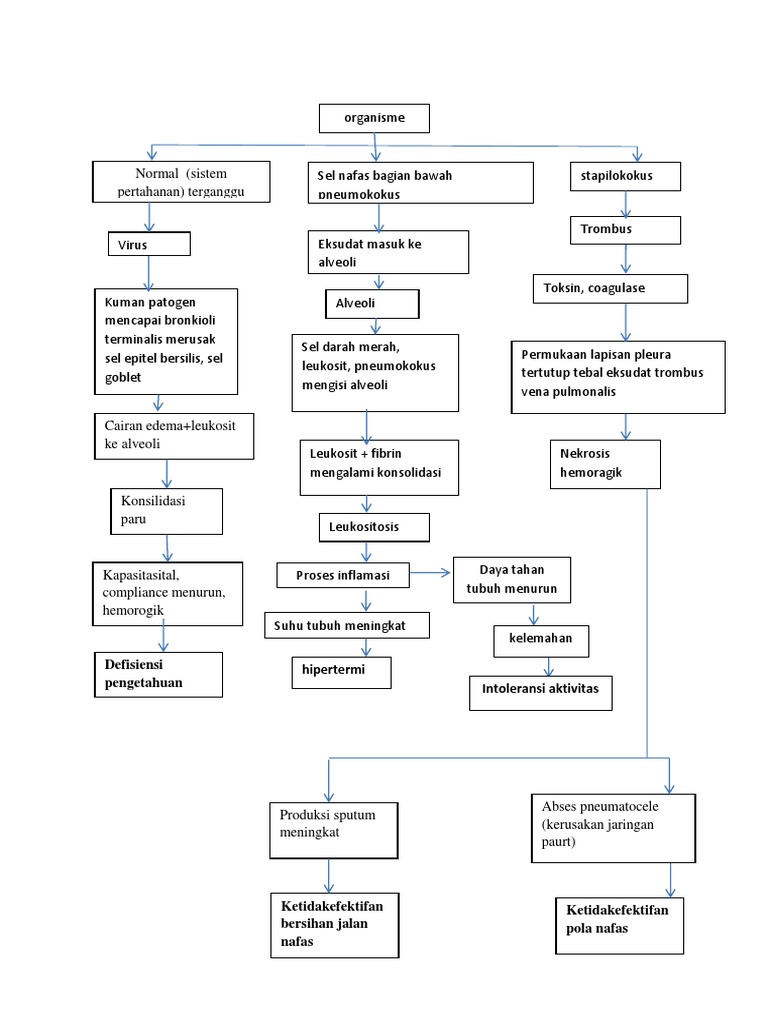 Cap Pathway | PDF