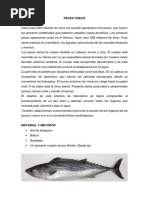 Anatomía y Fisiología de Los Peces Teleósteos | PDF | Vena | Pescado
