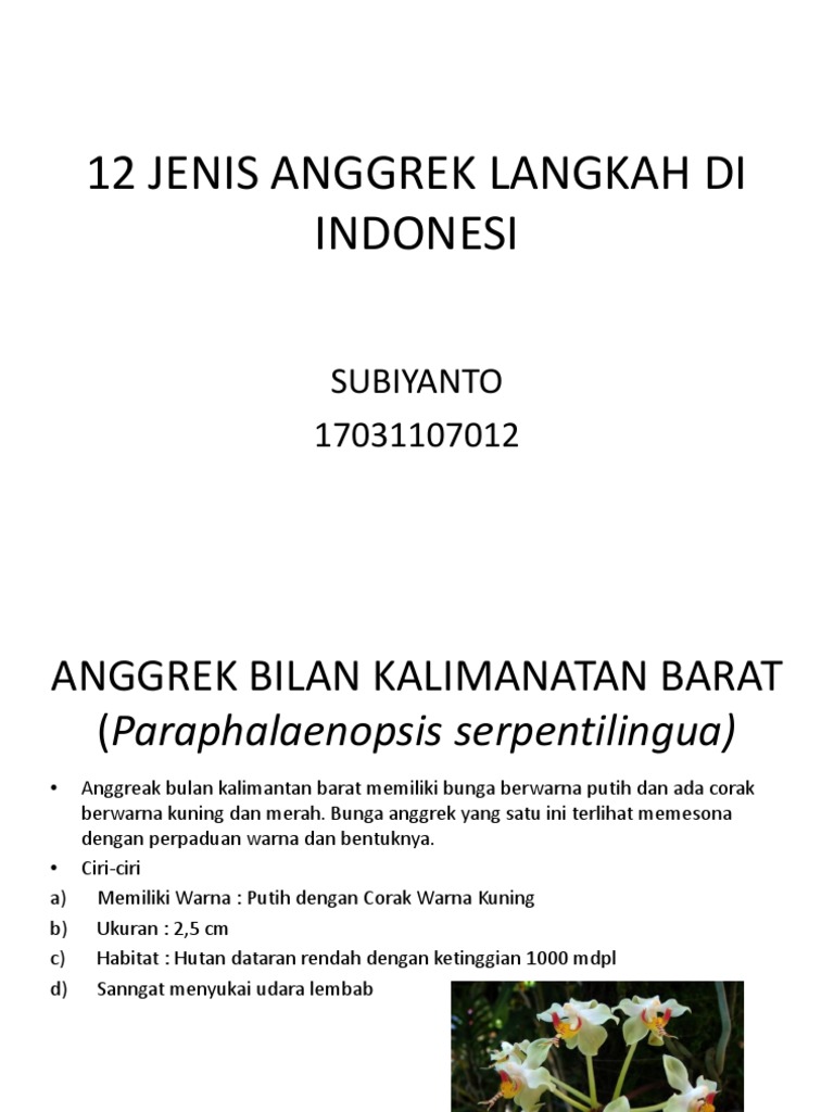 12 Jenis Anggrek Langkah Di Indonesi | PDF