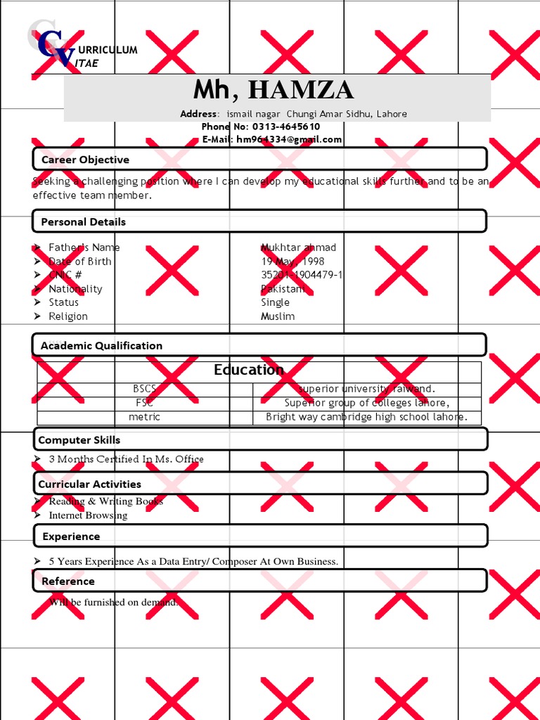 MH, Hamza: Education | PDF