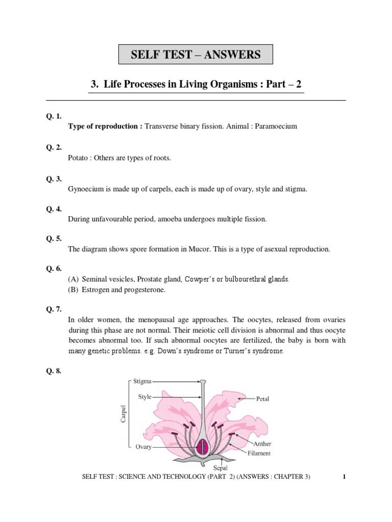 E0586 CH03 Sol | PDF | Ploidy | Sexual Reproduction