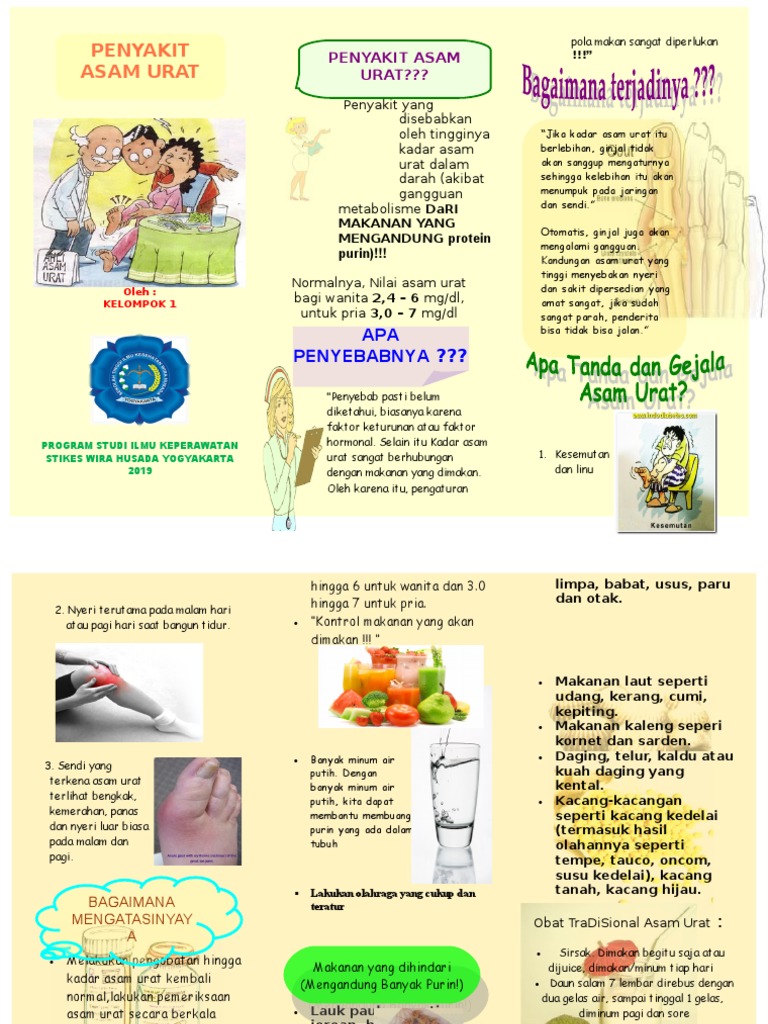 Leaflet Asam Urat | PDF