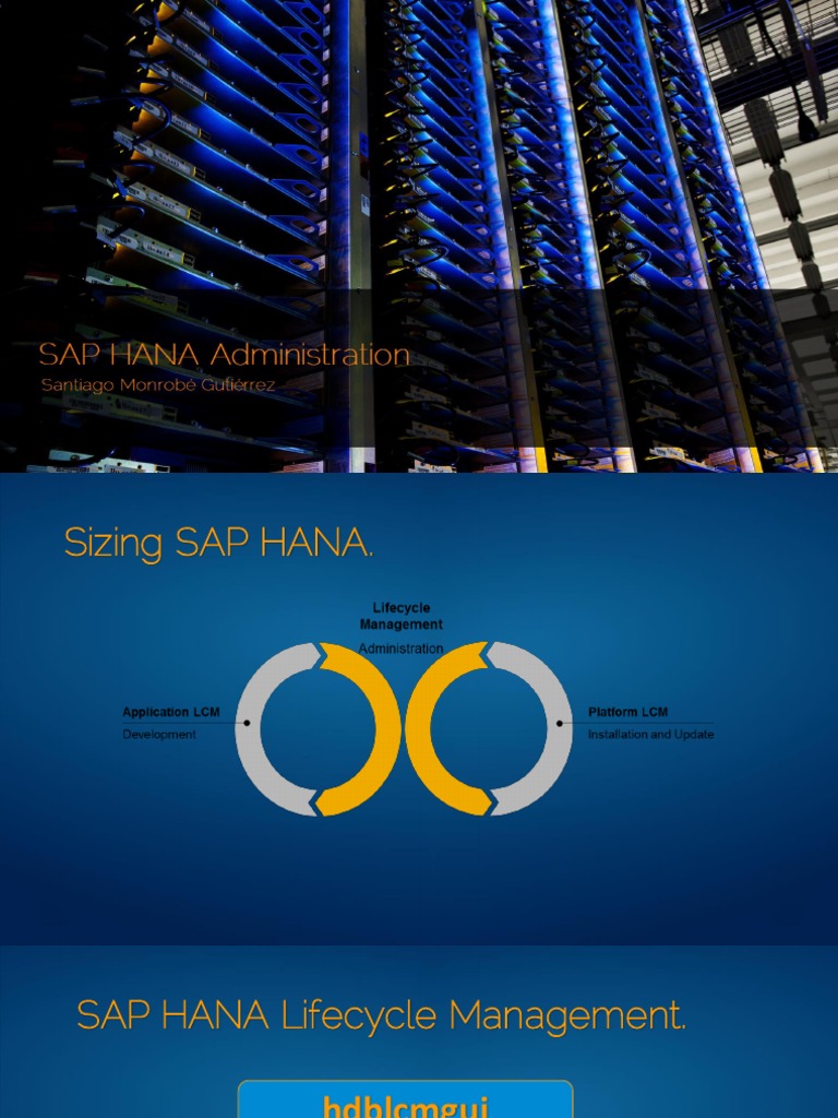 SAP HANA Lifecycle Management | PDF