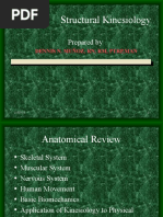 Kinesiology Flashcards, 3E - Lippert, Lynn S., Minor, Mary Alice ...