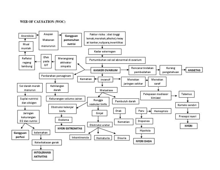 Woc Kanker Ovarium | PDF