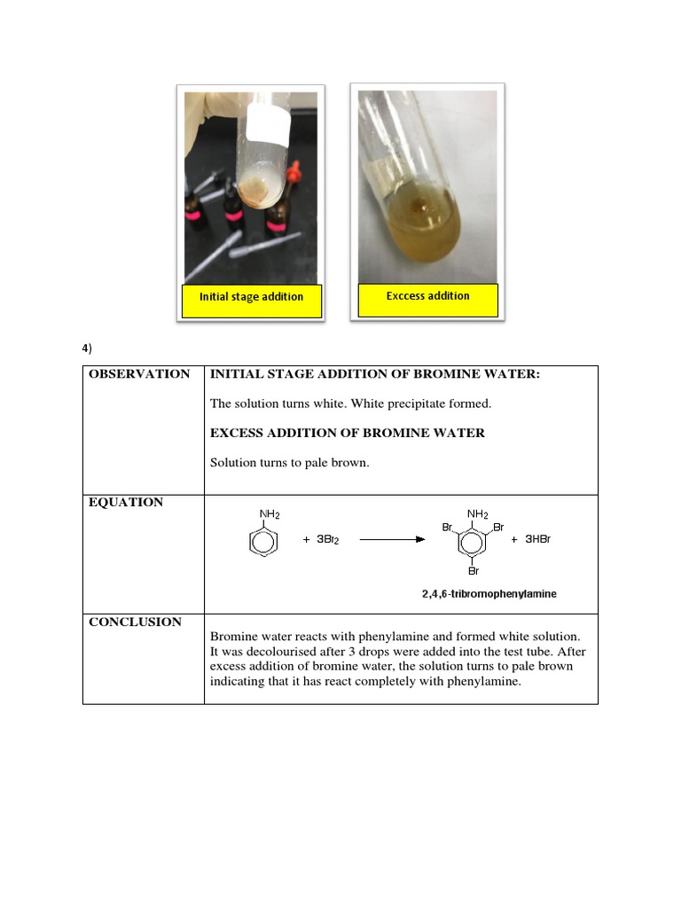 Experiment 6 Organic Chemistry Result | PDF | Amine | Acid