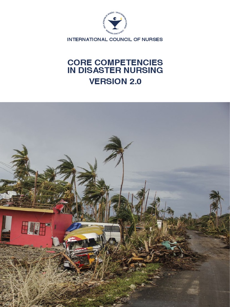 ICN Disaster-Comp-Report WEB Final | PDF | Emergency Management | Emergency