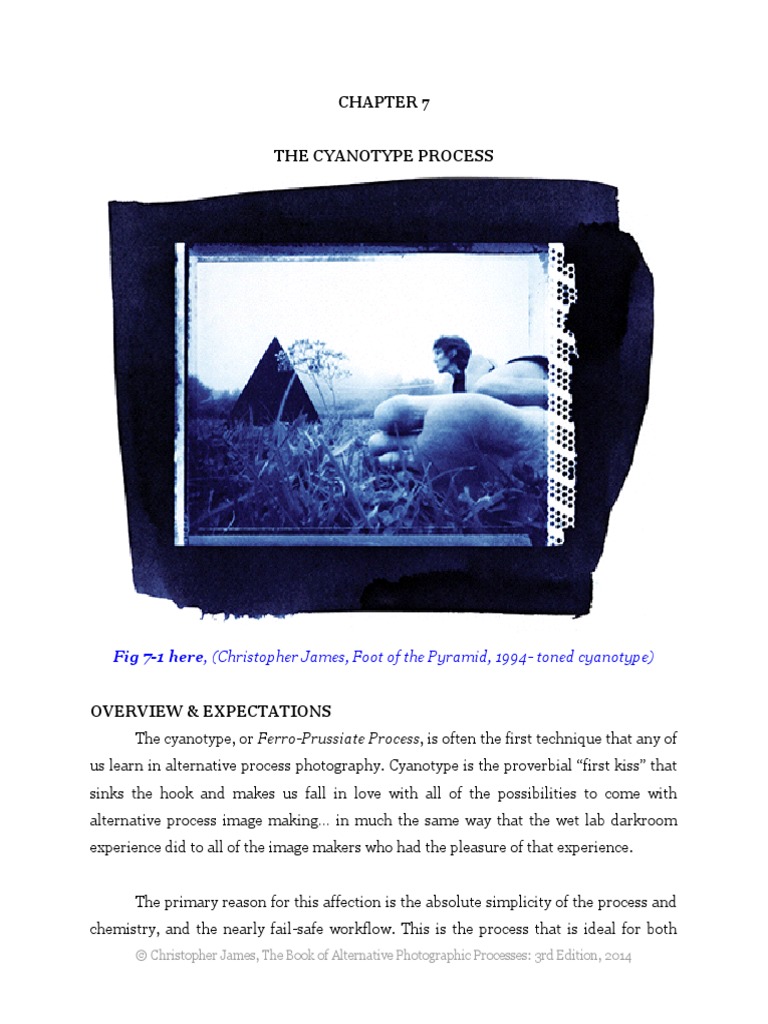 Chapter7 The Cyanotype Process | PDF | Nature