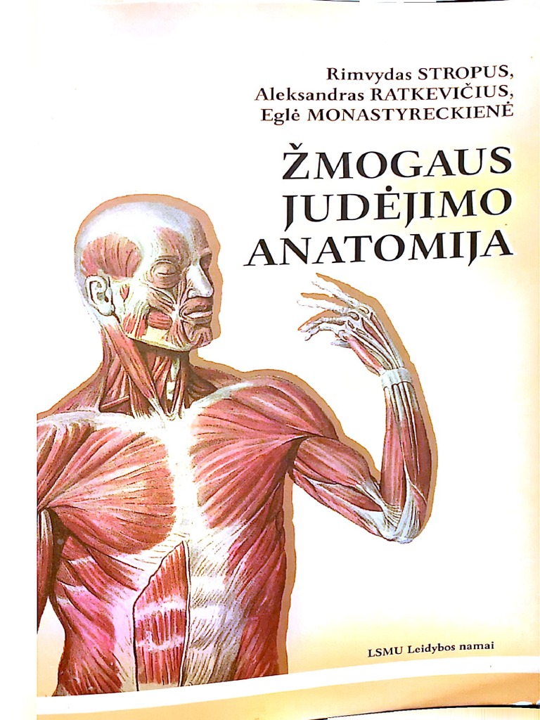 Žmogaus judėjimo anatomija