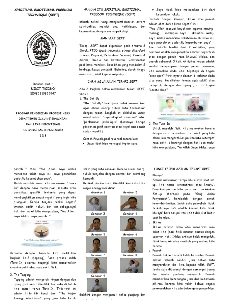 Panduan Terapi SEFT untuk Kesehatan | PDF