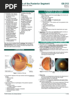 Tangent Screen Visual Field Testing | PDF | Retina | Color