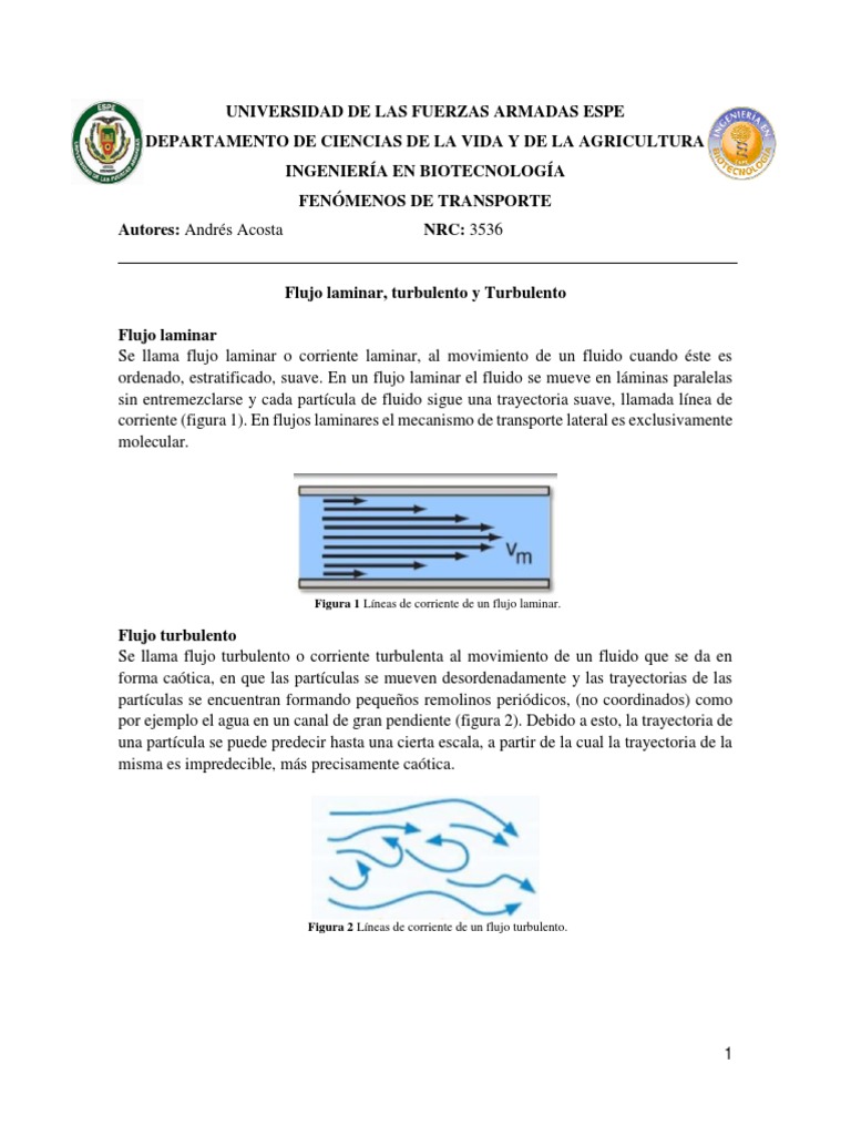 Flujo Laminar Y Turbulento | PDF