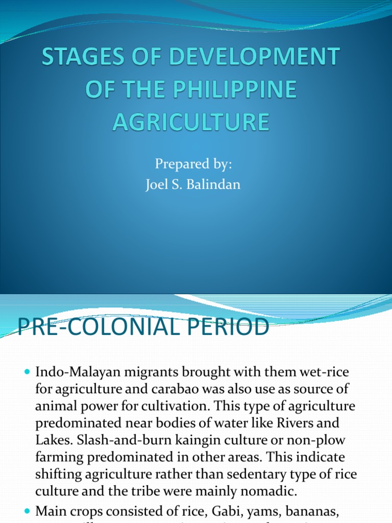 Stages of Development of The Philippine Agriculture 1 | PDF | Rice | Farms