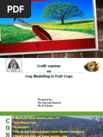 Rural Road Standard | PDF | Road | Road Surface