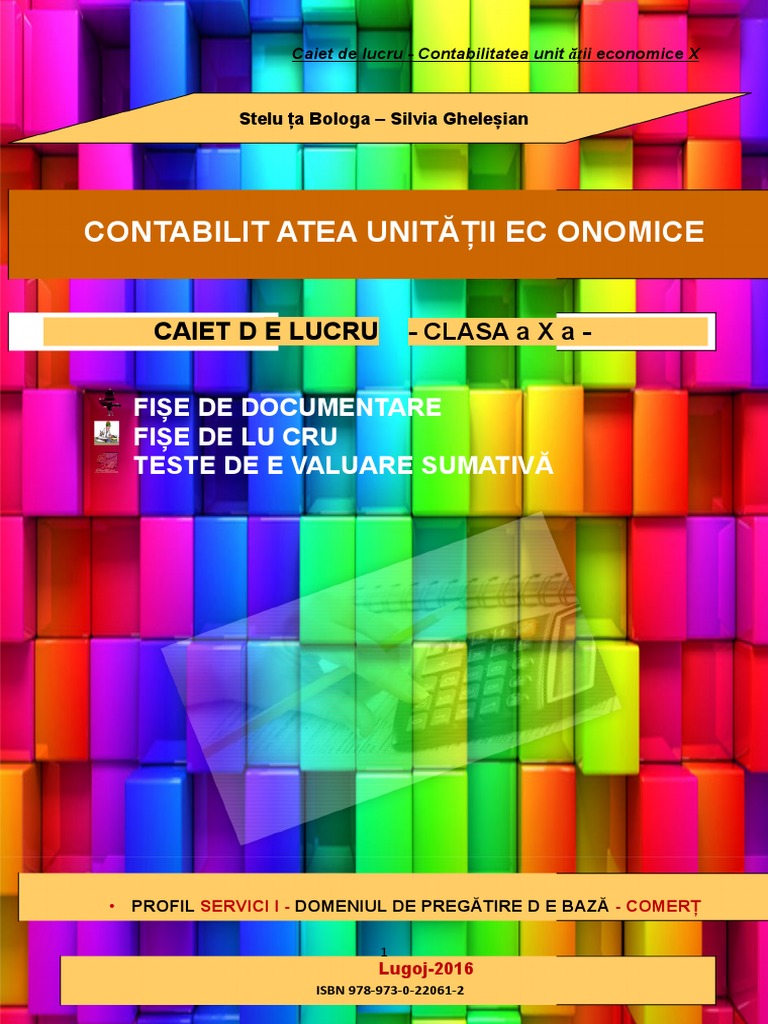 Caiet de Lucru Contabilitate Ok | PDF