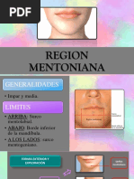 Region Geniana | PDF | Cabeza y cuello humanos | Anatomía humana