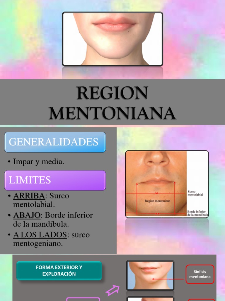 Anatomía de la Región Mentoniana | PDF | Anatomia animal | Cabeza y ...