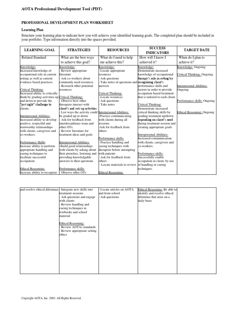 Professional Development Tool Portfolio | PDF | Critical Thinking ...