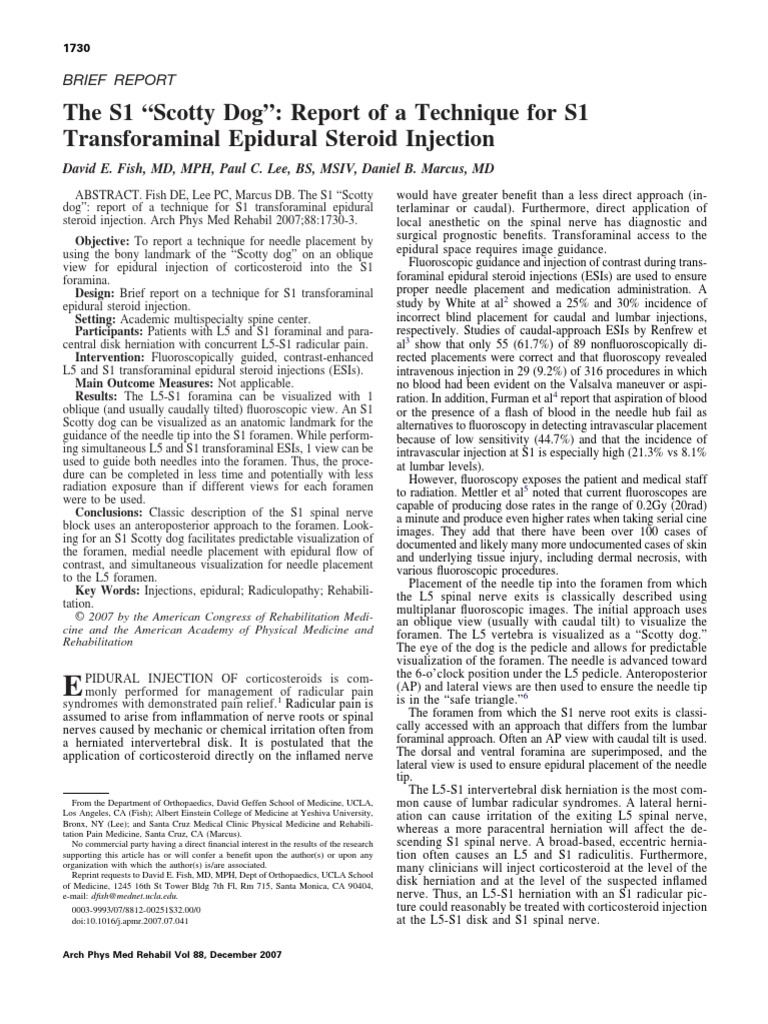 The S1 "Scotty Dog" - Report of A Technique For S1 Transforaminal ...