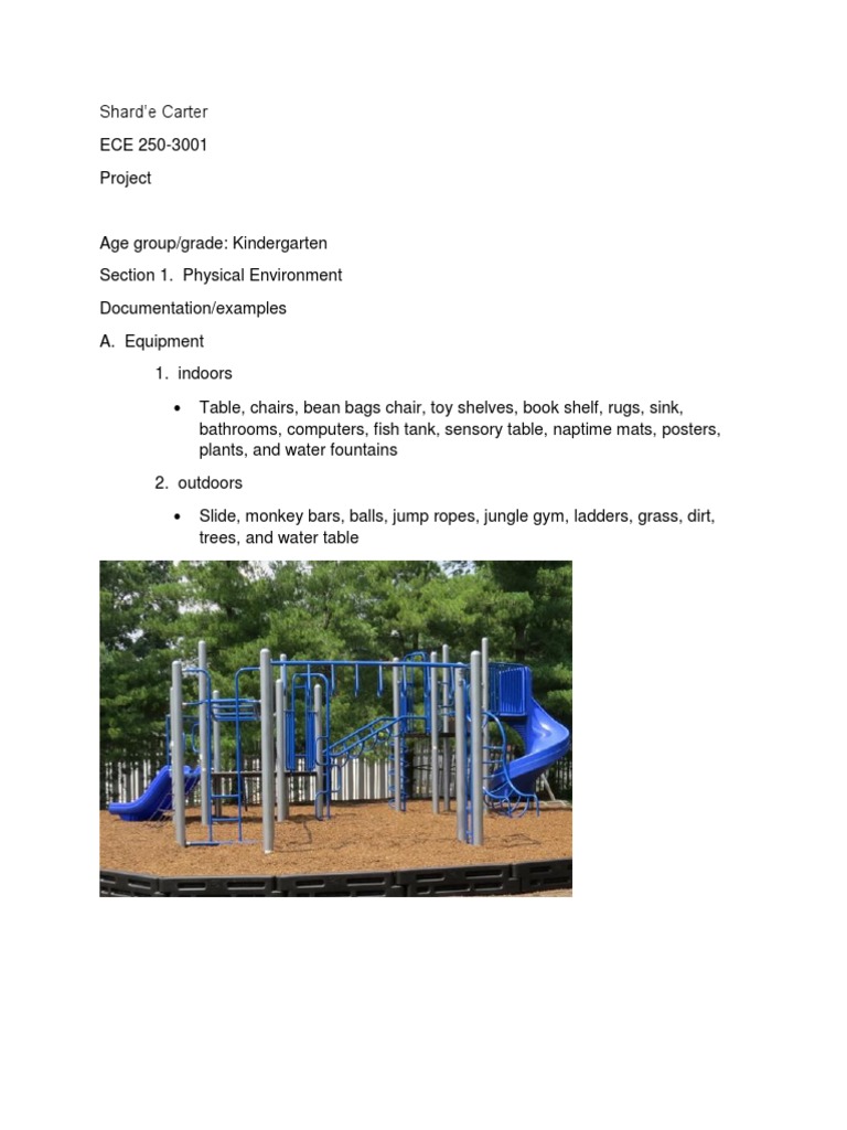 Ece 250 Project | PDF | Teachers | Early Childhood Education