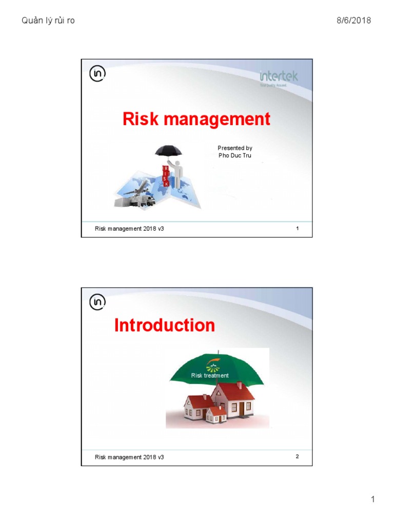 Risk Management Presentation (E) | PDF | Risk Management | Risk