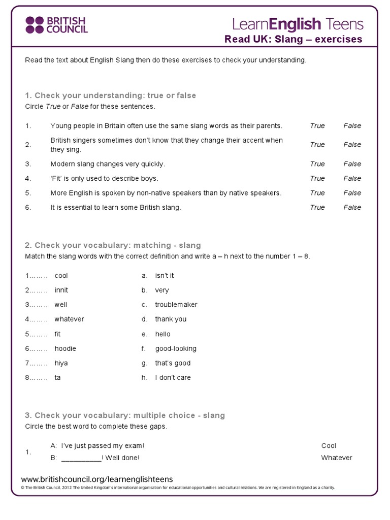 Slang - Exercises 0 PDF | Download Free PDF | Slang | English Language