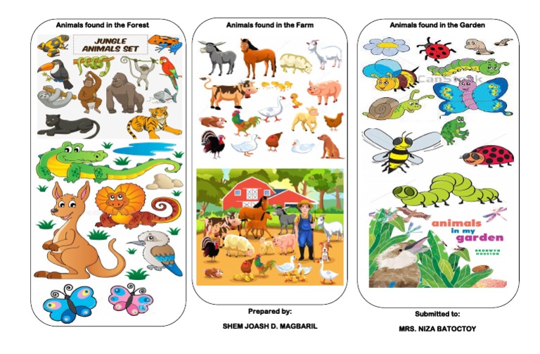 Animals Found in The Forest | PDF