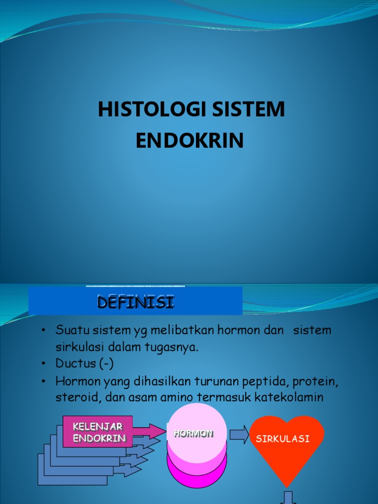 Histologi Sistem Endokrin | PDF