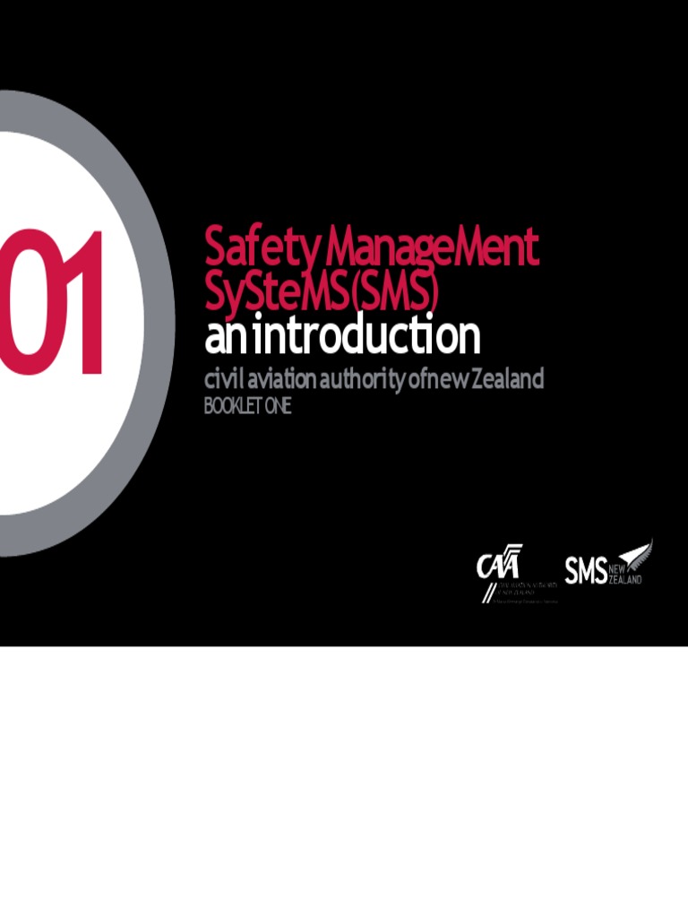 Introduction to Safety Management Systems | PDF | Risk Management | Audit