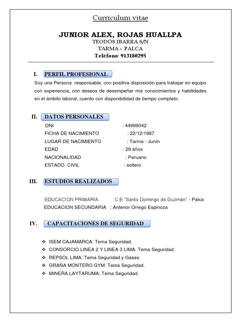 Curriculum - Vitae | PDF | Educación avanzada