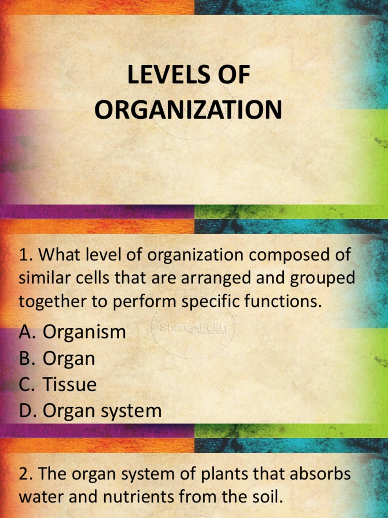 Levels of Biological Organization Quiz | PDF | Organ (Anatomy) | Tissue ...