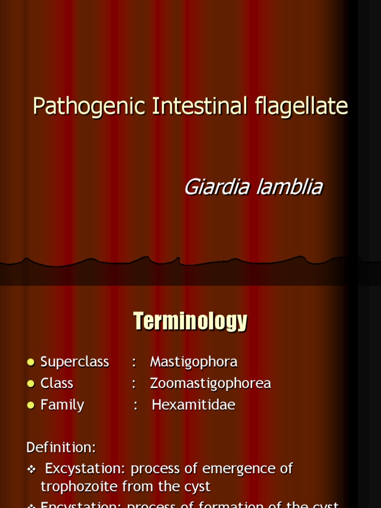 Pathogenic Intestinal Flagellate | PDF | Biology | Immunology