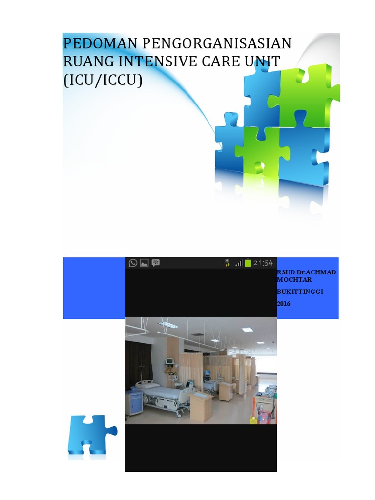 Pedoman Pengorganisasian Ruang Intensive Care Unit (Icu/Iccu) | PDF