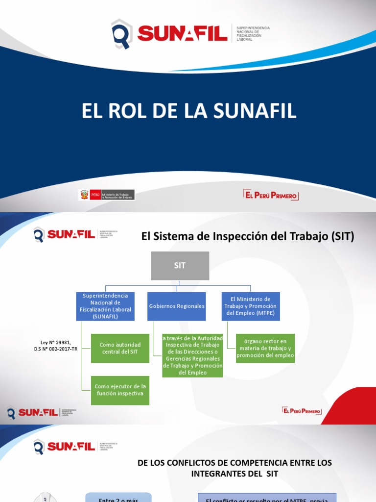 Rol de La Sunafil PDF | PDF | Justicia | Crimen y violencia