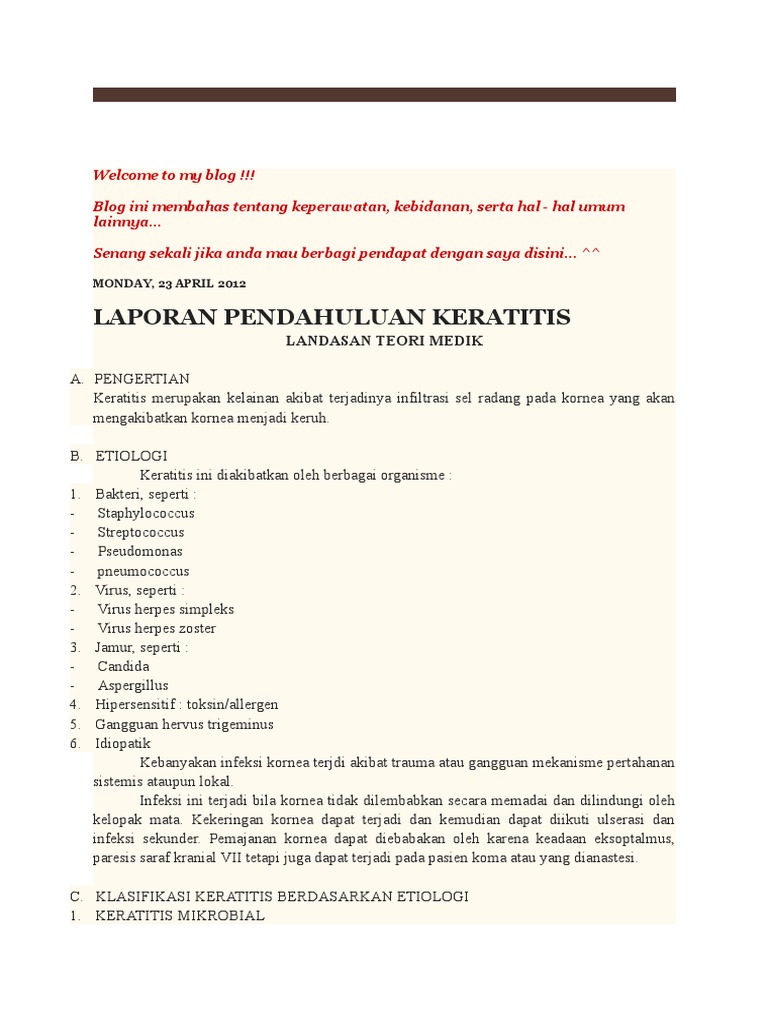 LP Keratitis | PDF