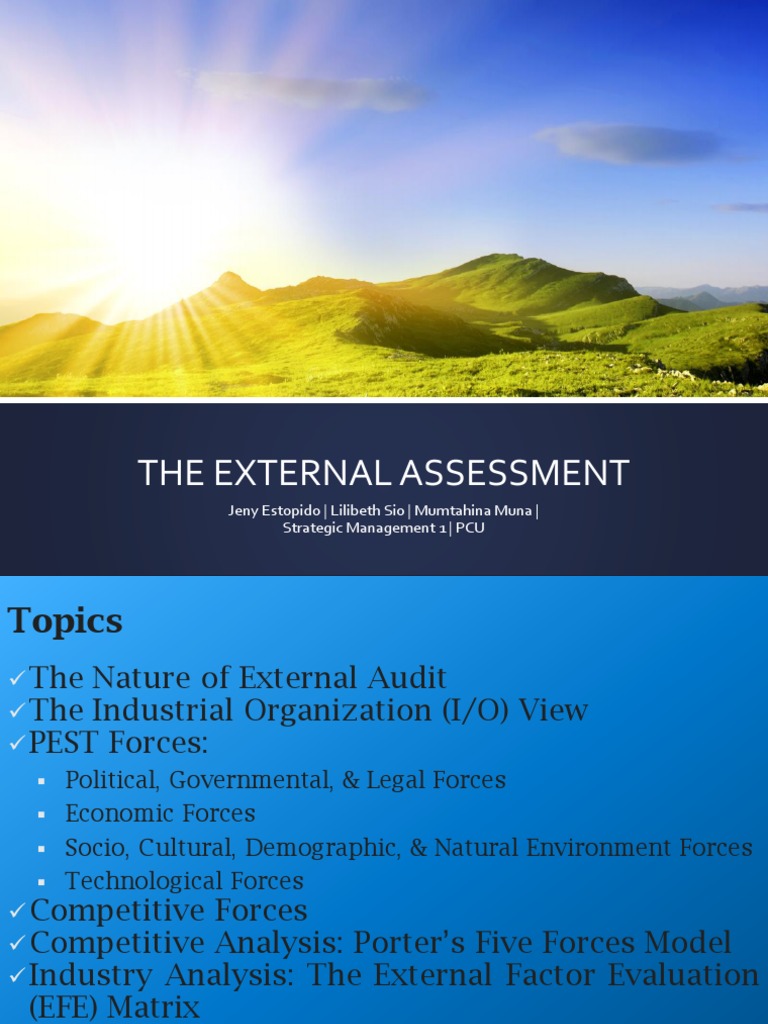The External Environment Assessment | PDF | Competition | Strategic ...